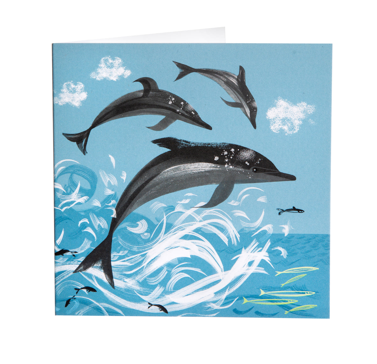 Sea Our Oceans - Dolphin Card & The Longship
