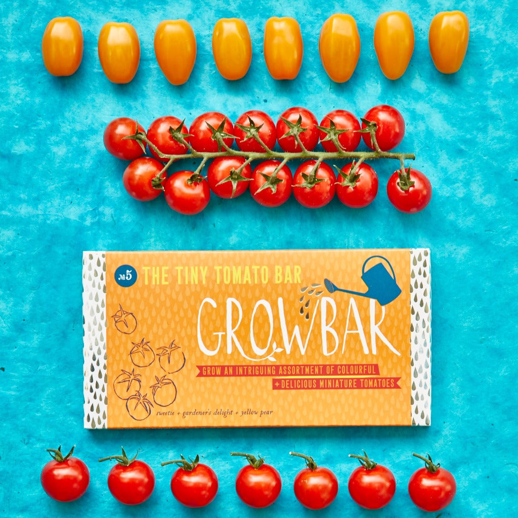 Tiny Tomato Grow Bar – The Longship